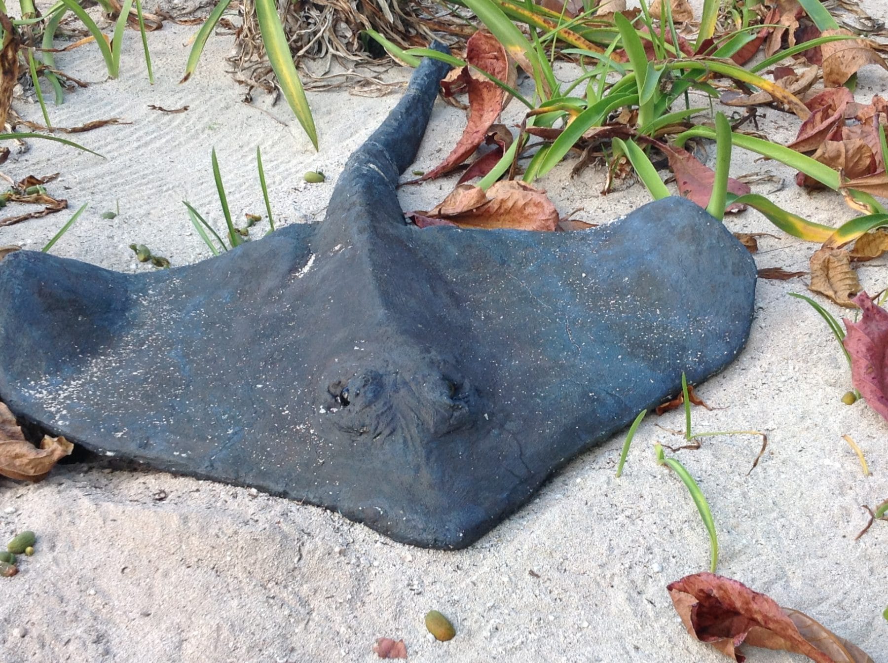 Davinoff's Concrete Sculpture Garden Is the Best in the Caribbean - The ...